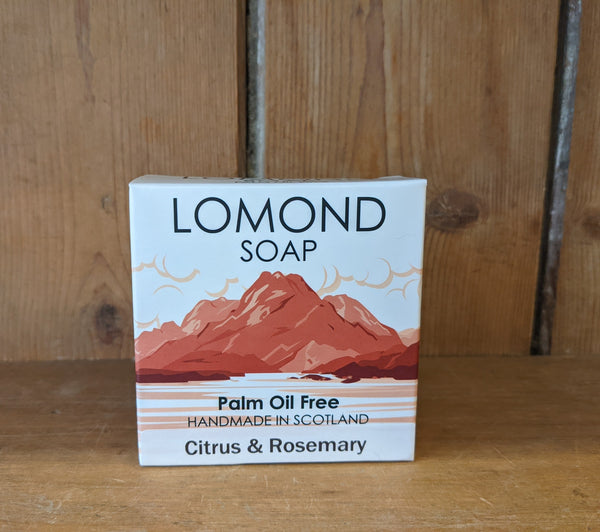 Citrus & Rosemary Soap Bar – honestthistle